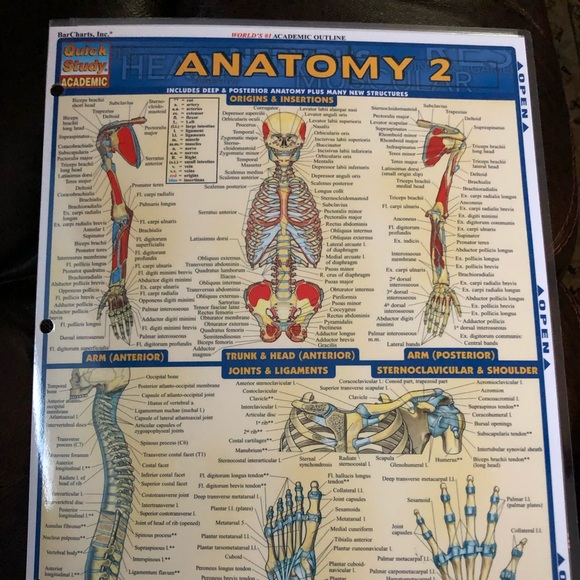 Quick Study Charts | Other | Nwot 5 Kids Quick Study Academic Charts ...